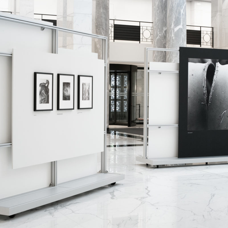 Henriette Grindat - Photo Elysée