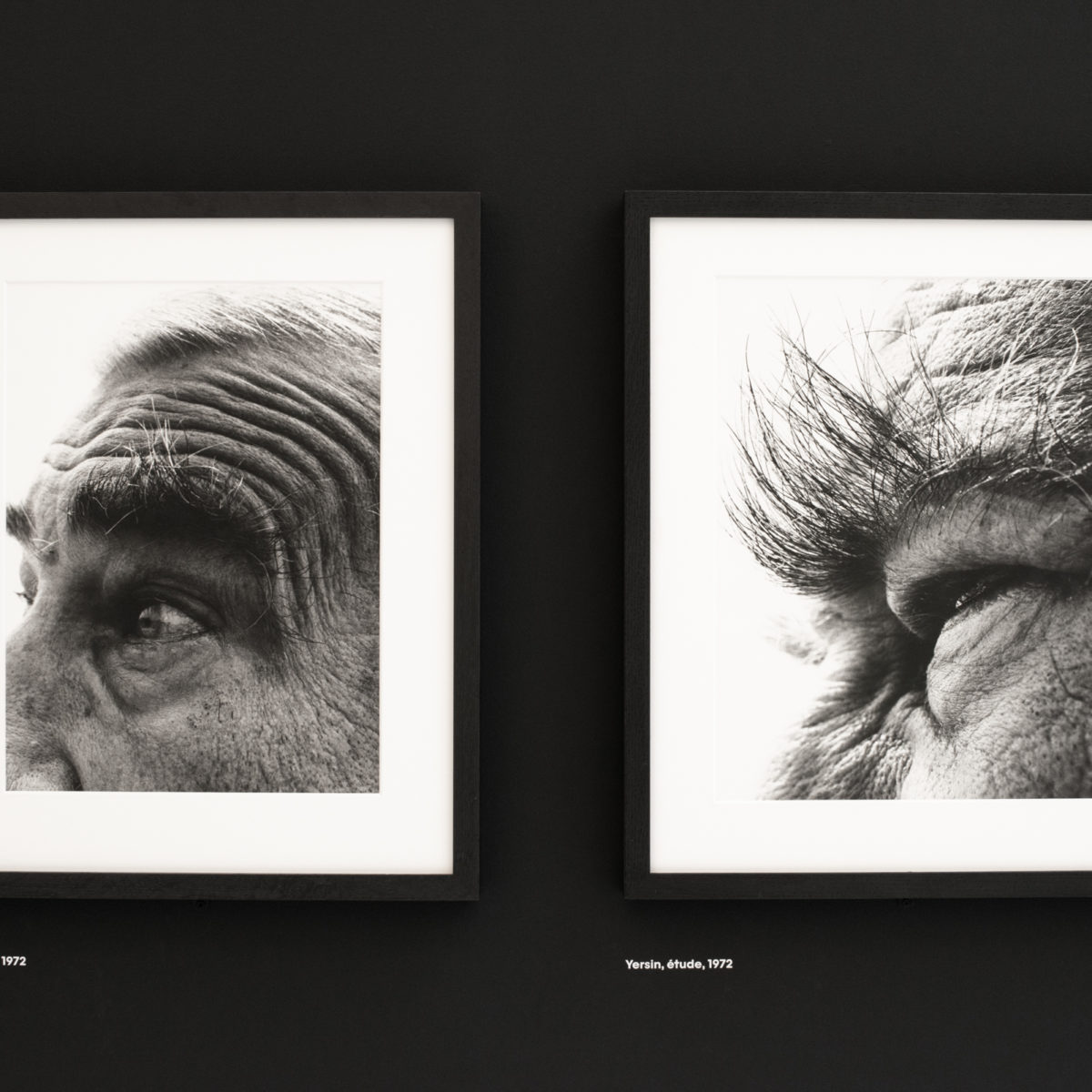 Henriette Grindat - Photo Elysée