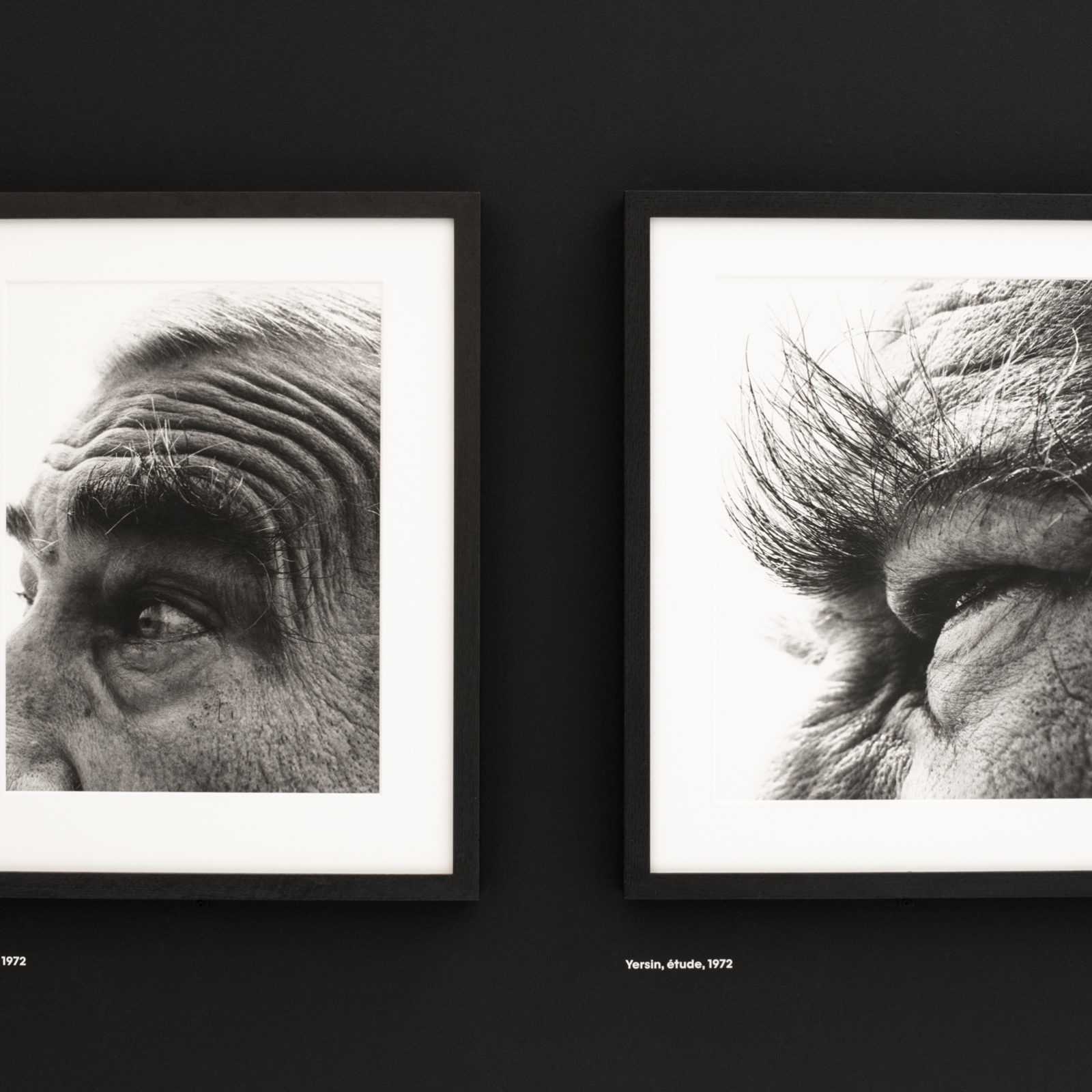 Henriette Grindat - Photo Elysée