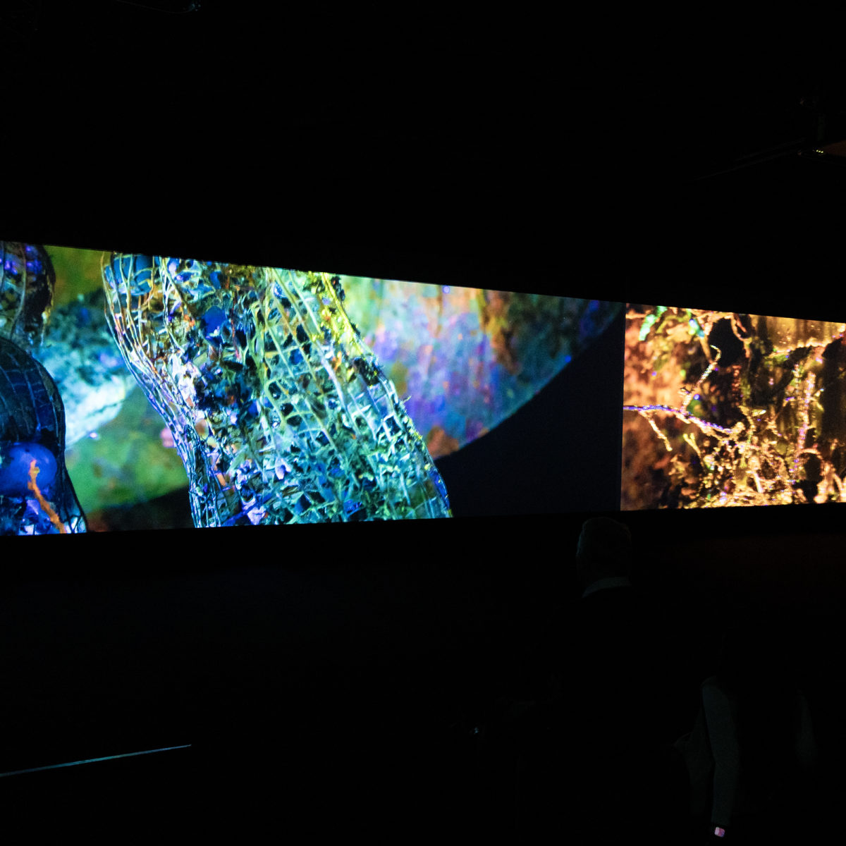Richard Mosse – Broken Spectre – Photo Elysée